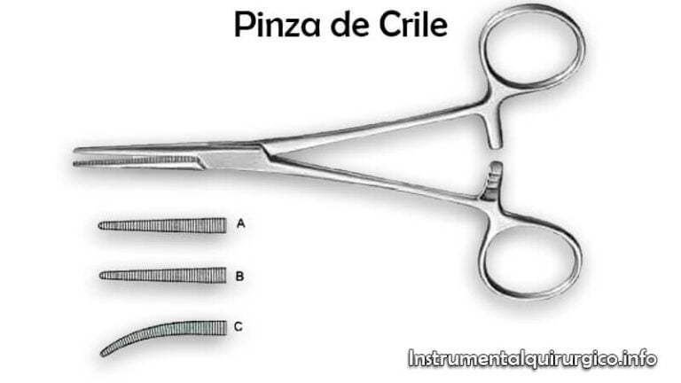 Pinza de Crile